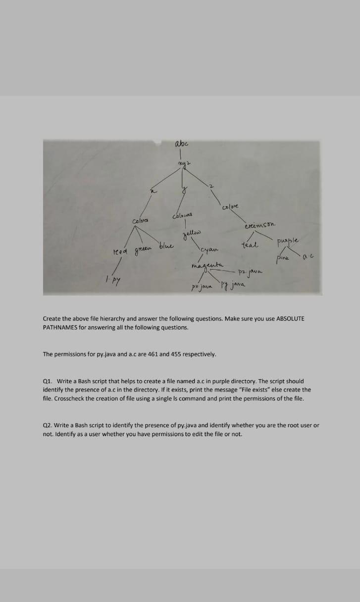 Solved Create the above file hierarchy and answer the | Chegg.com