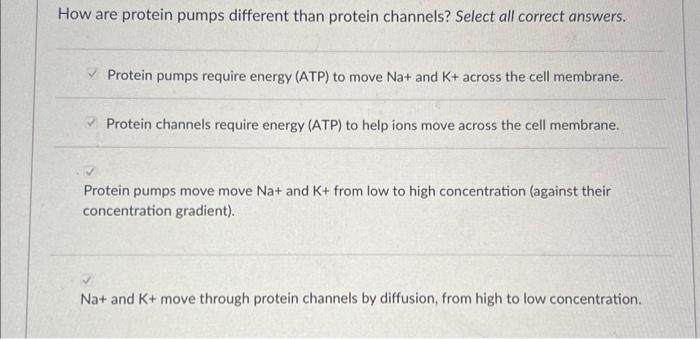 Solved How are protein pumps different than protein | Chegg.com