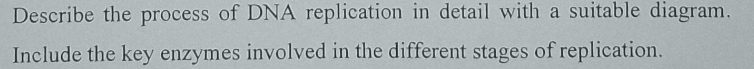 Solved Describe the process of DNA replication in detail | Chegg.com