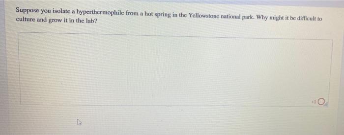 Solved Suppose you isolate a hyperthermophile from a hot | Chegg.com