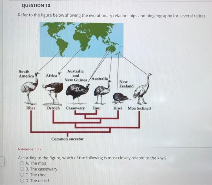 Solved QUESTION 7 In accordance with Wilson and MacArthur's | Chegg.com