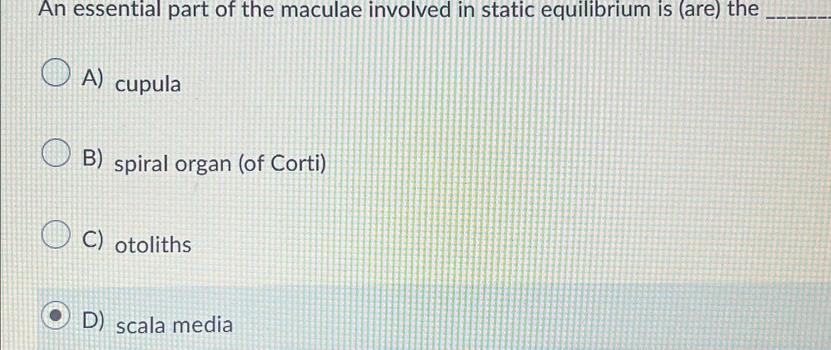 Solved An essential part of the maculae involved in static | Chegg.com