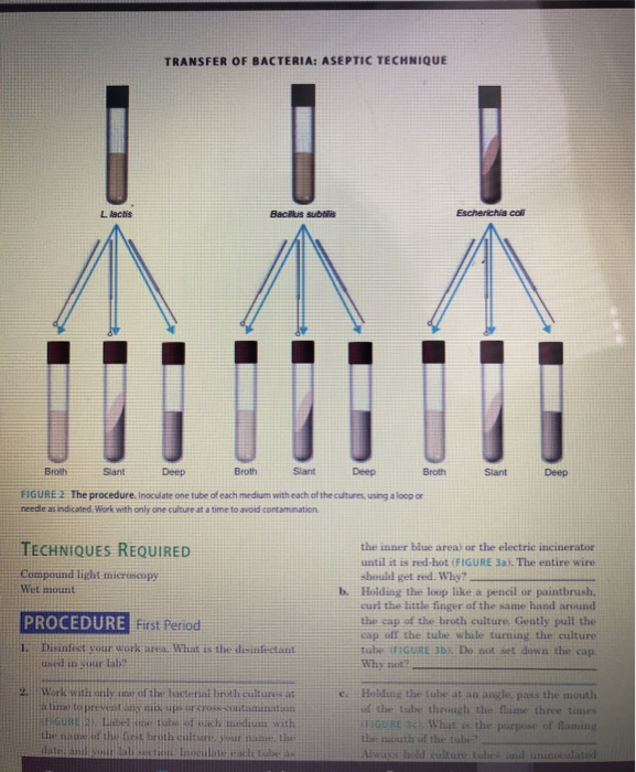 Solved 4. Transfer of Bacteria: Aseptic Technique h. Were | Chegg.com