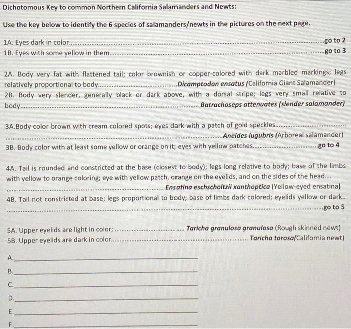 Solved Dichotomous Key to common Northern California | Chegg.com