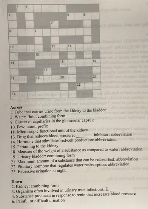 Across 1. Tube that carries urine from the kidney to | Chegg.com