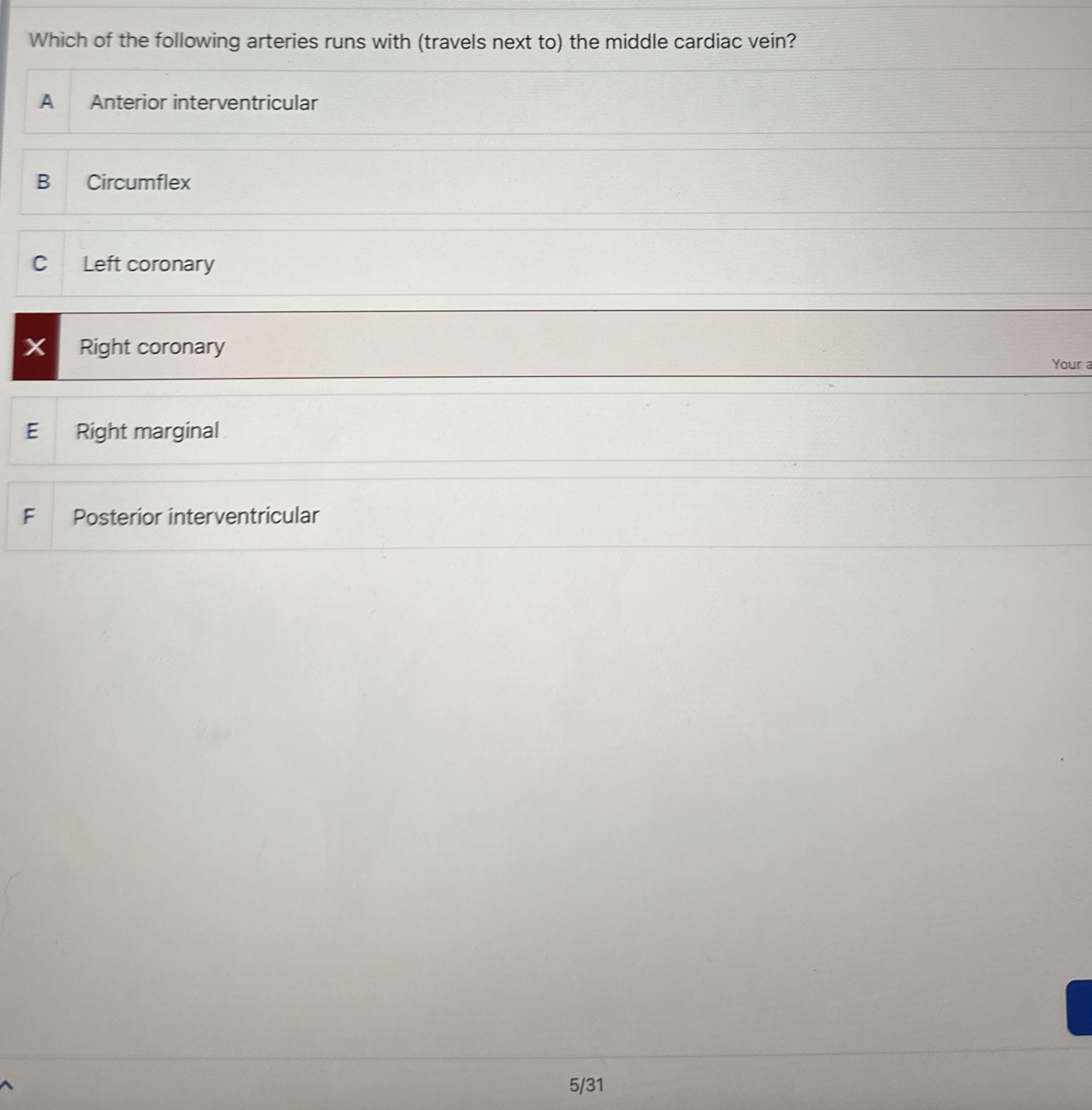 Solved Which of the following arteries runs with (travels | Chegg.com