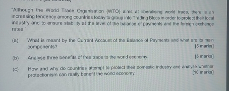 Solved 'Although the World Trade Organisation (WTO) ﻿aims at | Chegg.com