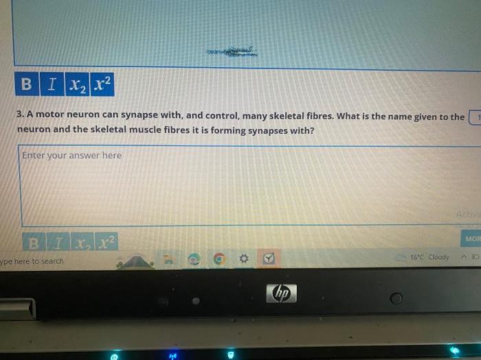 Solved 3. A motor neuron can synapse with, and control, many | Chegg.com