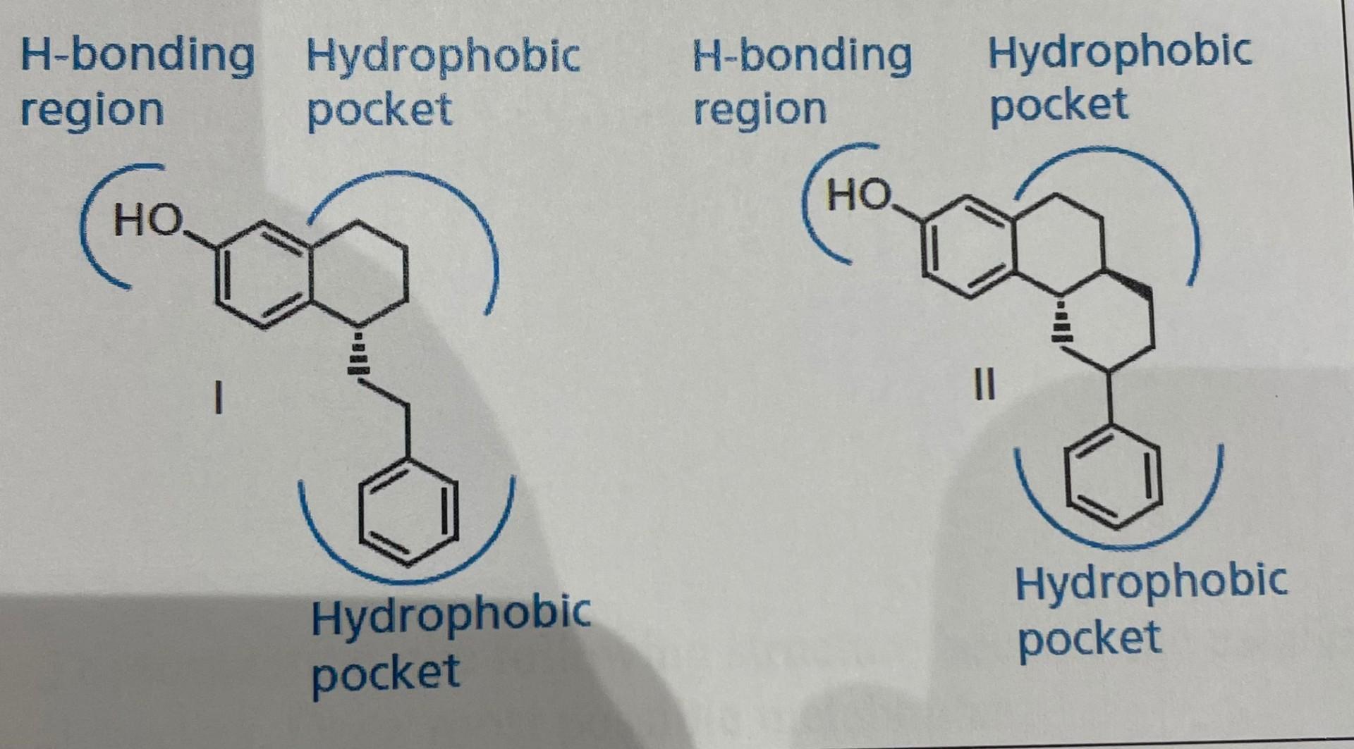 H-bonding HydrophobicH-bonding Hydrophobic | Chegg.com