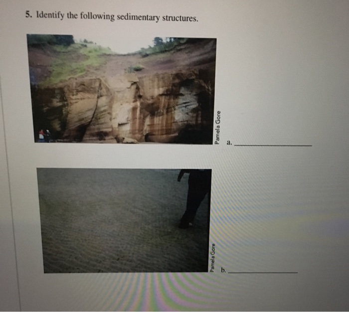 Solved 5. Identify the following sedimentary structures. | Chegg.com