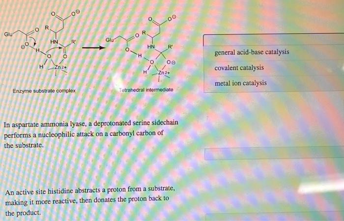 Solved Are the given examples represntative of acid-base | Chegg.com