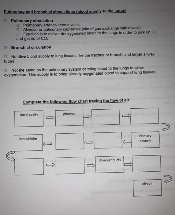 Solved Pulmonary and bronchial circulations (blood supply to | Chegg.com