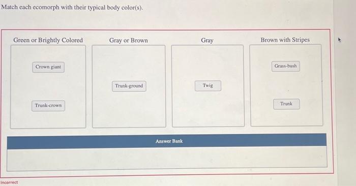 Solved Match each ecomorph with their typical body color(s). | Chegg.com