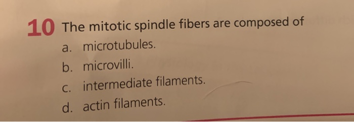 Solved 10 The mitotic spindle fibers are composed of a. | Chegg.com