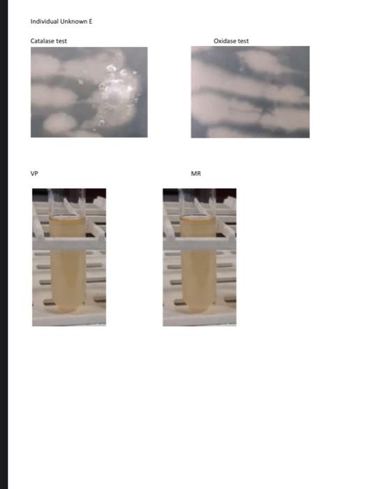 Unknown Identification - Identify your unknown. Use | Chegg.com