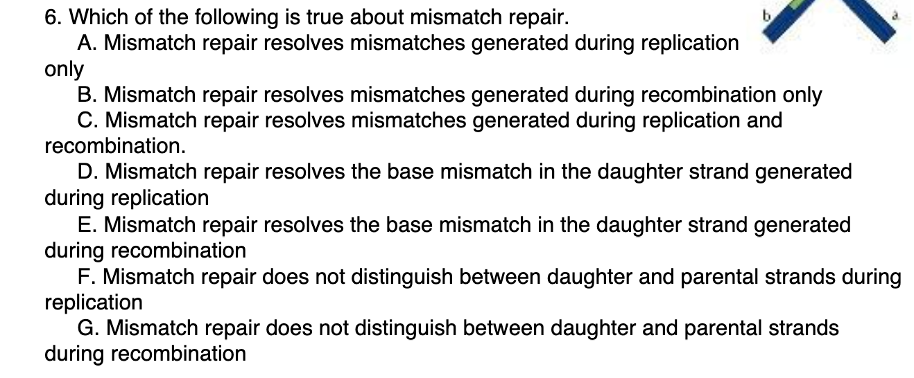 Solved Which of the following is true about mismatch | Chegg.com