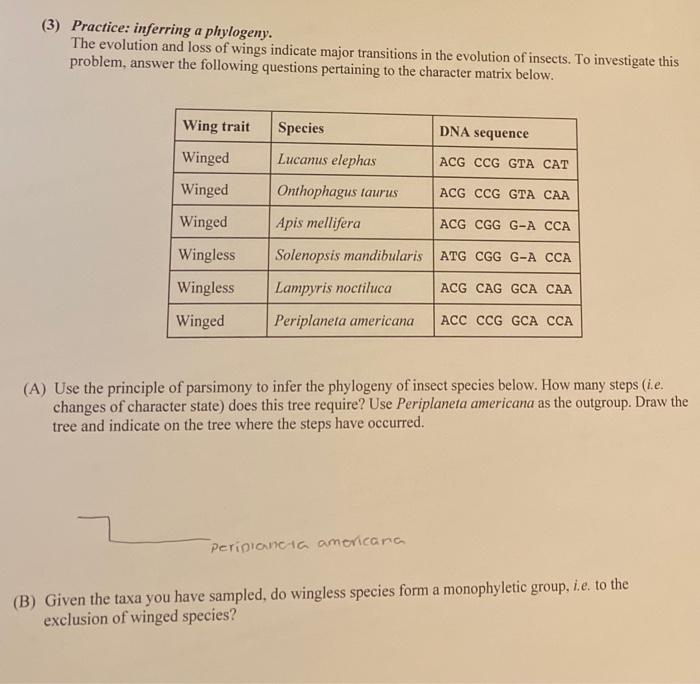 Solved (3) Practice: inferring a phylogeny. The evolution | Chegg.com