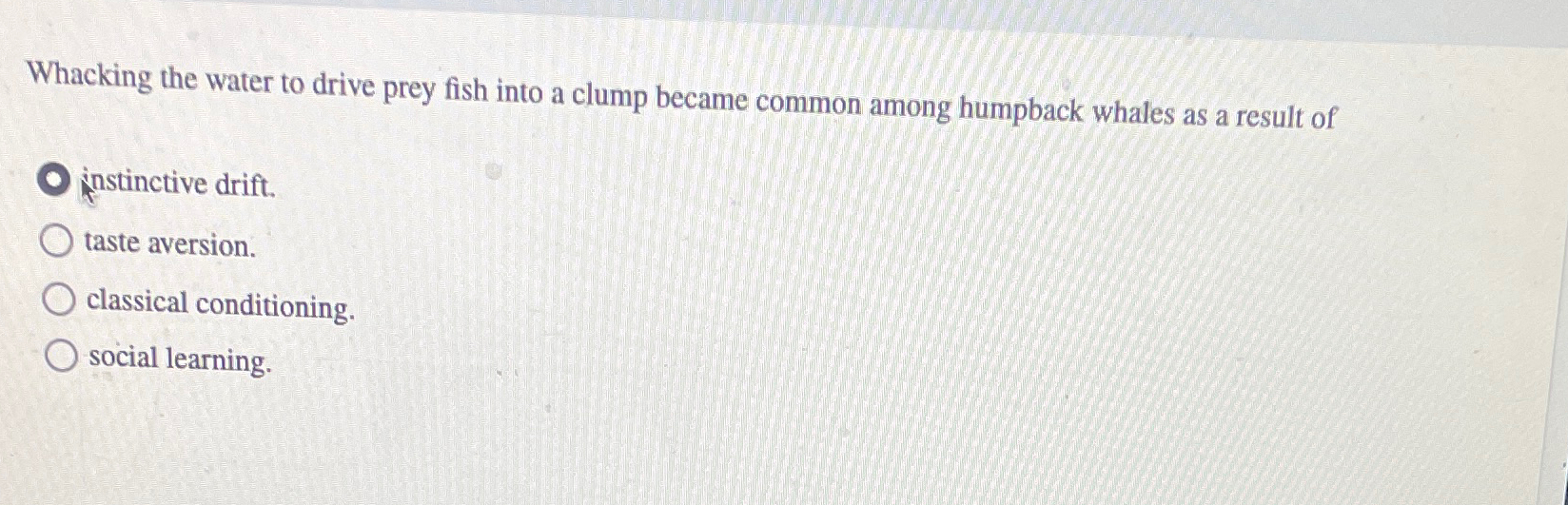 Solved Whacking the water to drive prey fish into a clump | Chegg.com