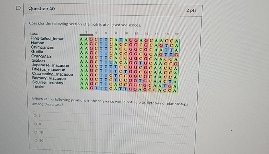 Solved Question 402 ﻿ptsConsider the following section of a | Chegg.com
