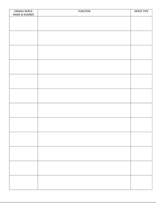 FUNCTION NERVE TYPE CRANIAL NERVE: NAME & NUMBER | Chegg.com