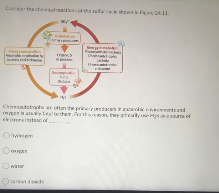 Solved Consider the chemical reactions of the sulfur cycle | Chegg.com