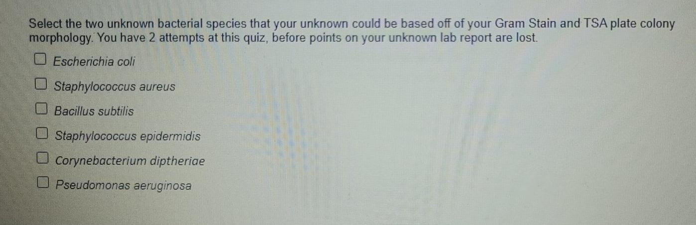 Solved is this gram positive bacilli? please specify if | Chegg.com