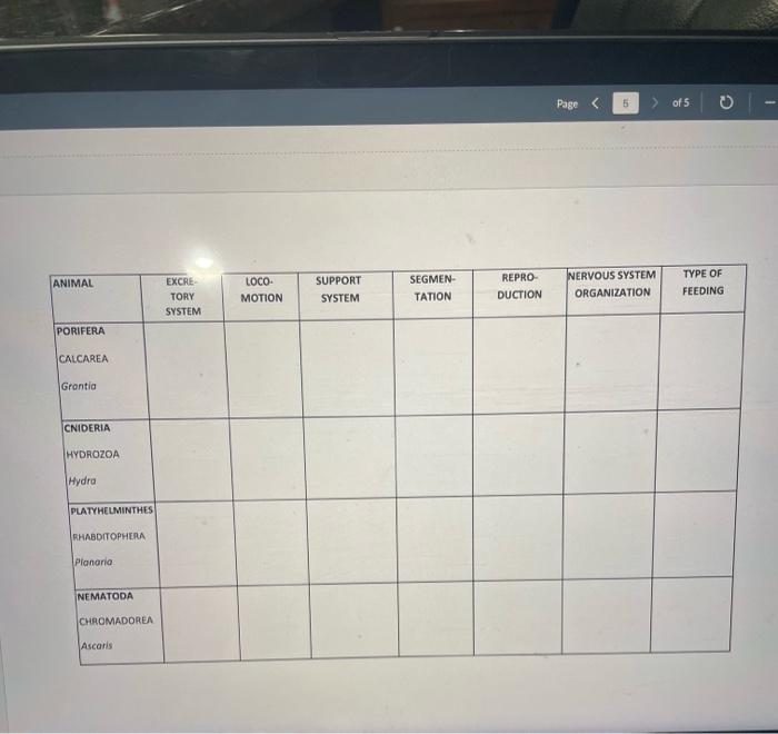 Solved Animal Diversity Lab 1 Categorize animals based on | Chegg.com