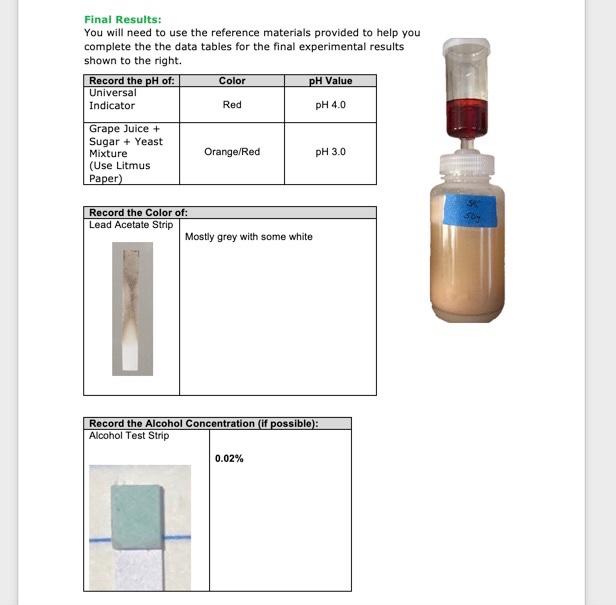Lab Handout: Alcohol Fermentation Laboratory Report | Chegg.com