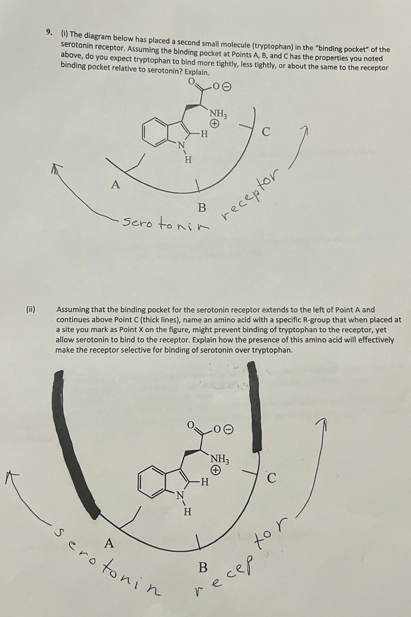 (i) ﻿The diagram below has placed a second small | Chegg.com