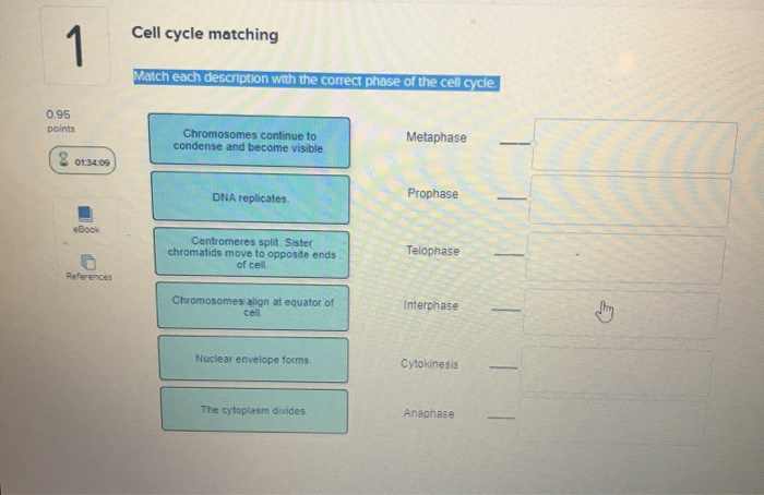 Solved Cell cycle matching Match each description with the | Chegg.com