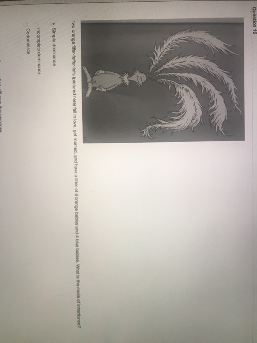 Solved Homophilia is an X-linked recessive trait. A woman | Chegg.com