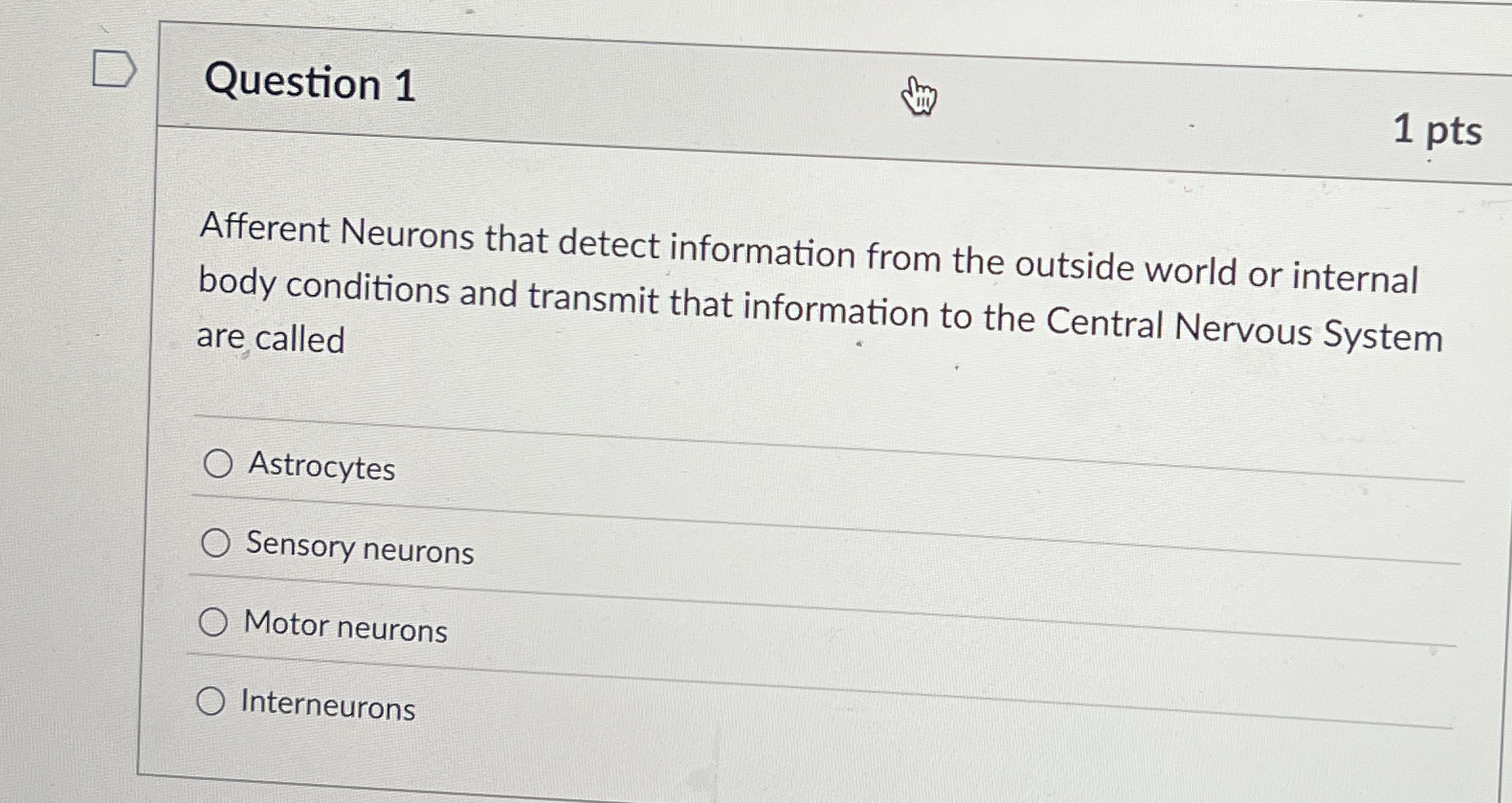 Solved Question 11 ﻿ptsAfferent Neurons that detect | Chegg.com