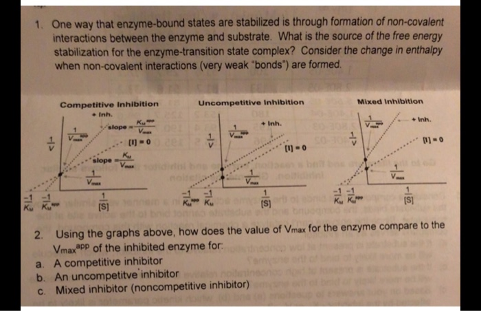 Solved 3. Using the graphs above, how does the value of Km | Chegg.com