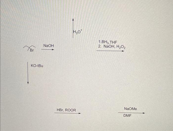Solved Br KO-tBu NaOH H30* HBr, ROOR 1.BH3, THF 2. NaOH, | Chegg.com