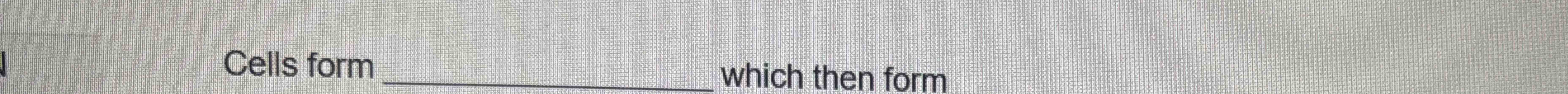 Solved Cells form which then form | Chegg.com