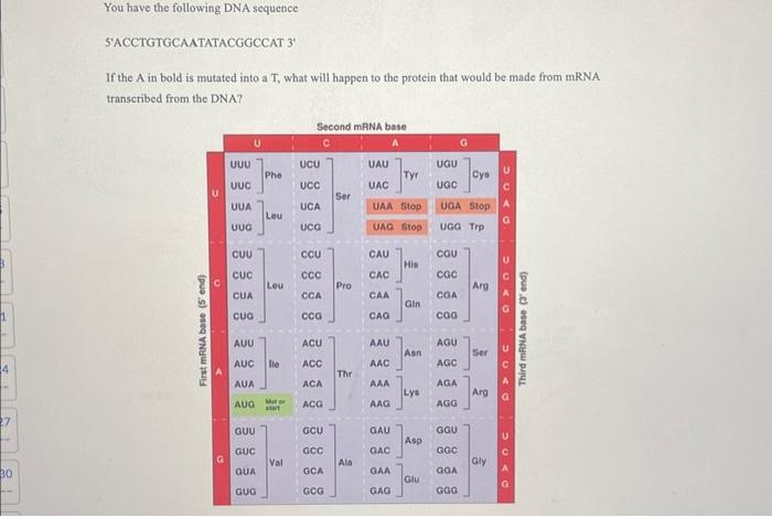 Solved You have the following DNA sequence | Chegg.com