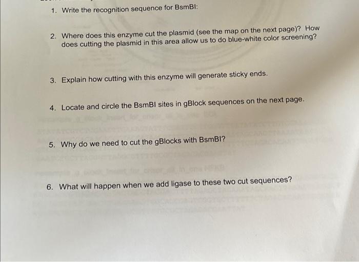Solved 1. Write the recognition sequence for BsmBI: 2. Where | Chegg.com