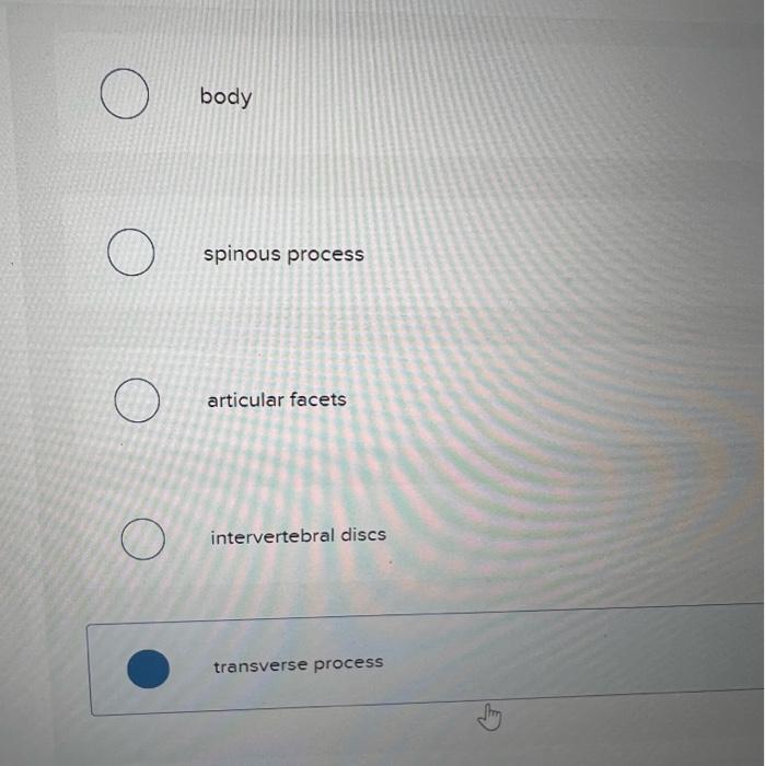 Solved Which structure is highlighted? body spinous process | Chegg.com