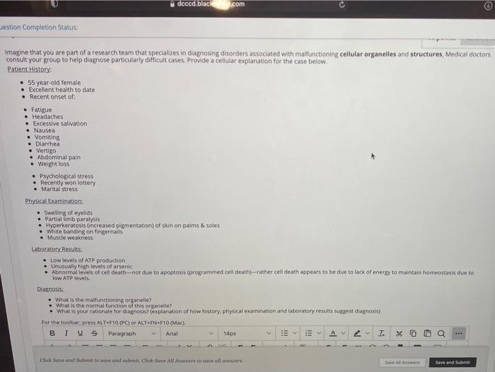 Solved dcccd.black .com Jestion Completion Status Imagine | Chegg.com