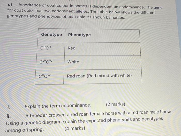 Solved c) Inheritance of coat colour in horses is dependent | Chegg.com