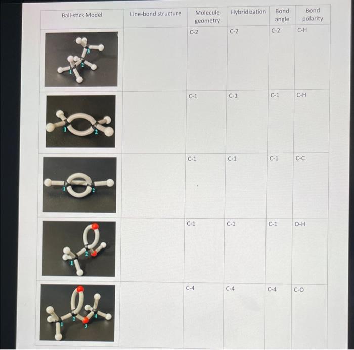 Solved 1. Refer to the following ball-stick models of | Chegg.com
