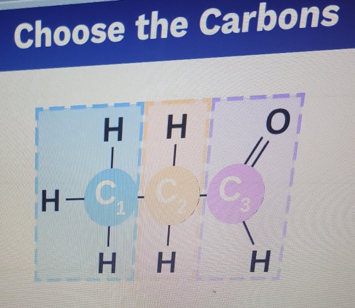 Solved Choose the Carbons | Chegg.com