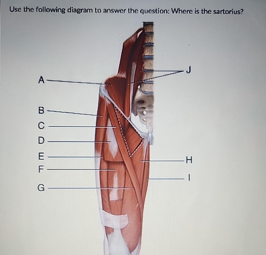 Solved Use the following diagram to answer the question: | Chegg.com Solved Use the following diagram to answer the question: | Chegg.com