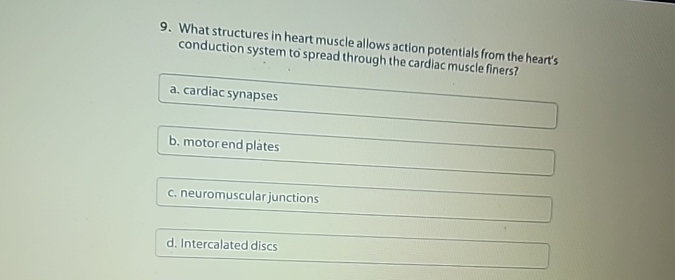 Solved What structures in heart muscle allows action | Chegg.com