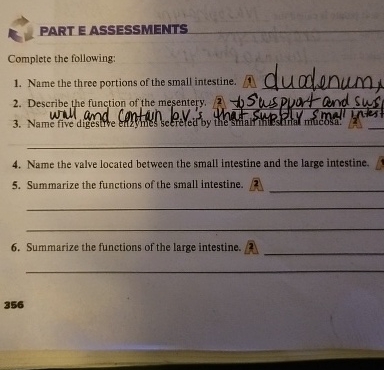 High Quality SOLUTION PART E ASSESSMENTSComplete the following:Name the | Chegg.com
