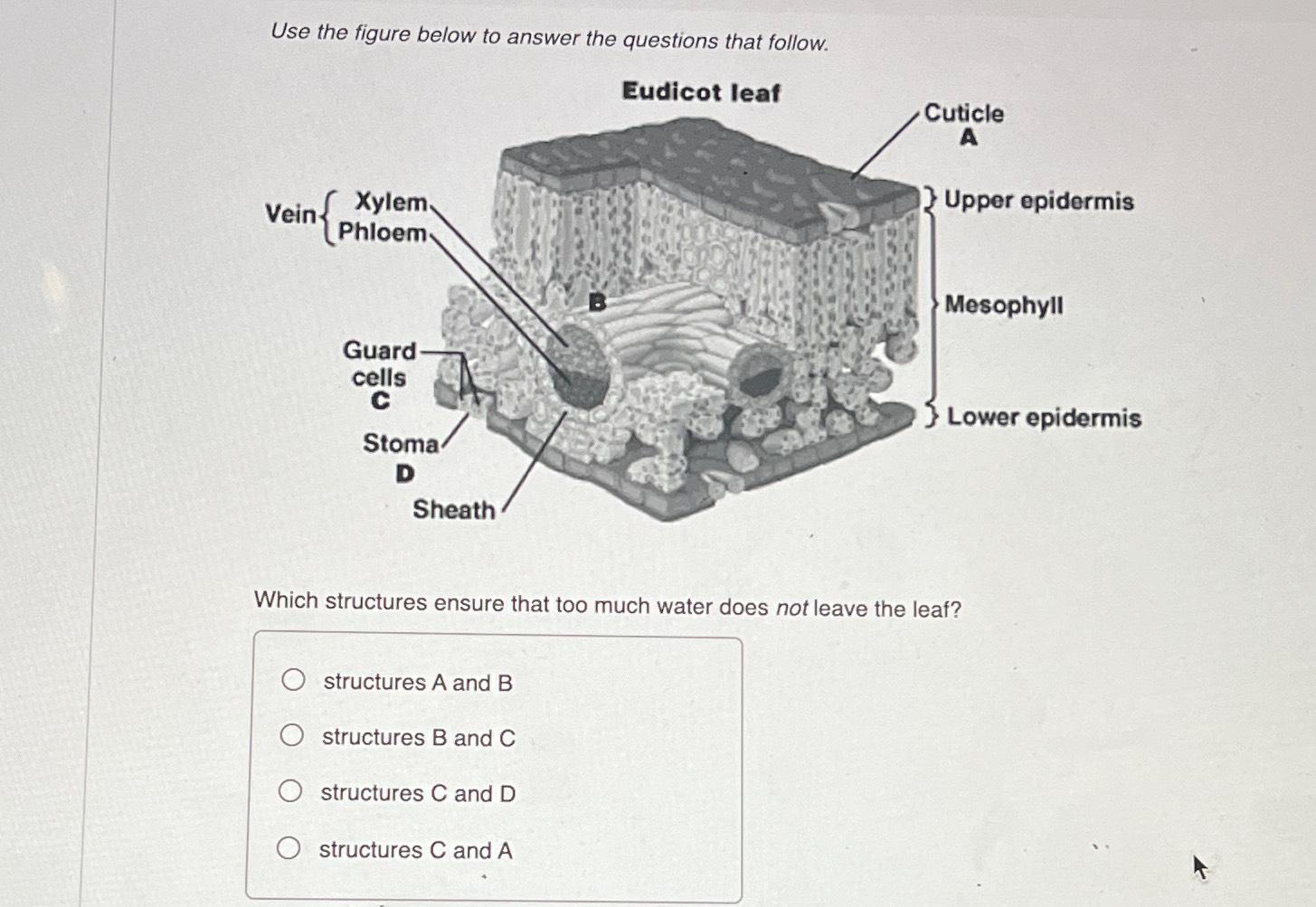 Solved Use the figure below to answer the questions that | Chegg.com