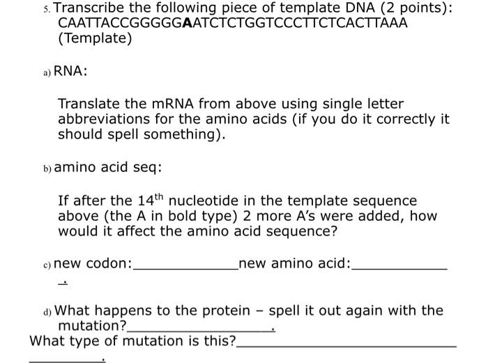 Solved 5. Transcribe the following piece of template DNA ( 2 | Chegg.com