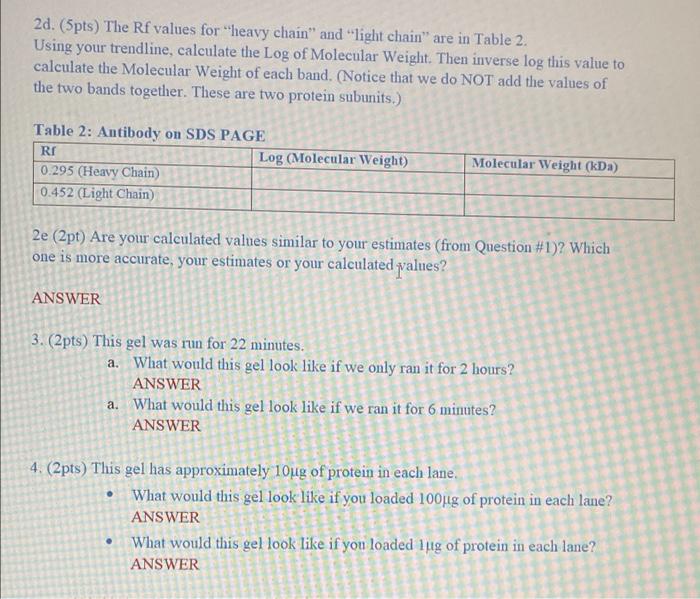 20. (5pts) The Rf values for heavy chain" and "light | Chegg.com