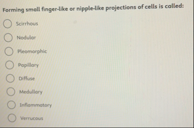 Solved Forming small finger-like or nipple-like projections | Chegg.com
