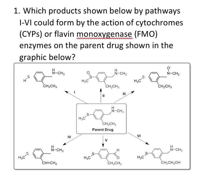 Solved 1. Which products shown below by pathways I-VI could | Chegg.com